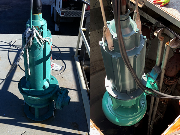 Vaughan Conditioning Pump™ | William Reid LTD.